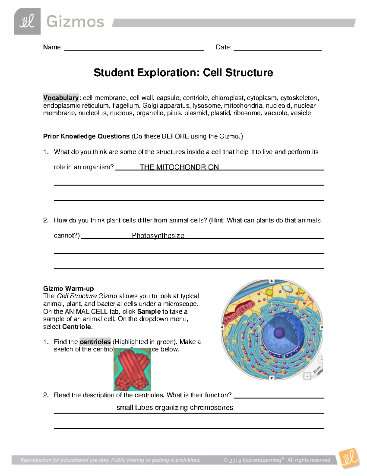 CSLab 4.3 Exploring Cell Structure and Function: A Comprehensive Guide ...