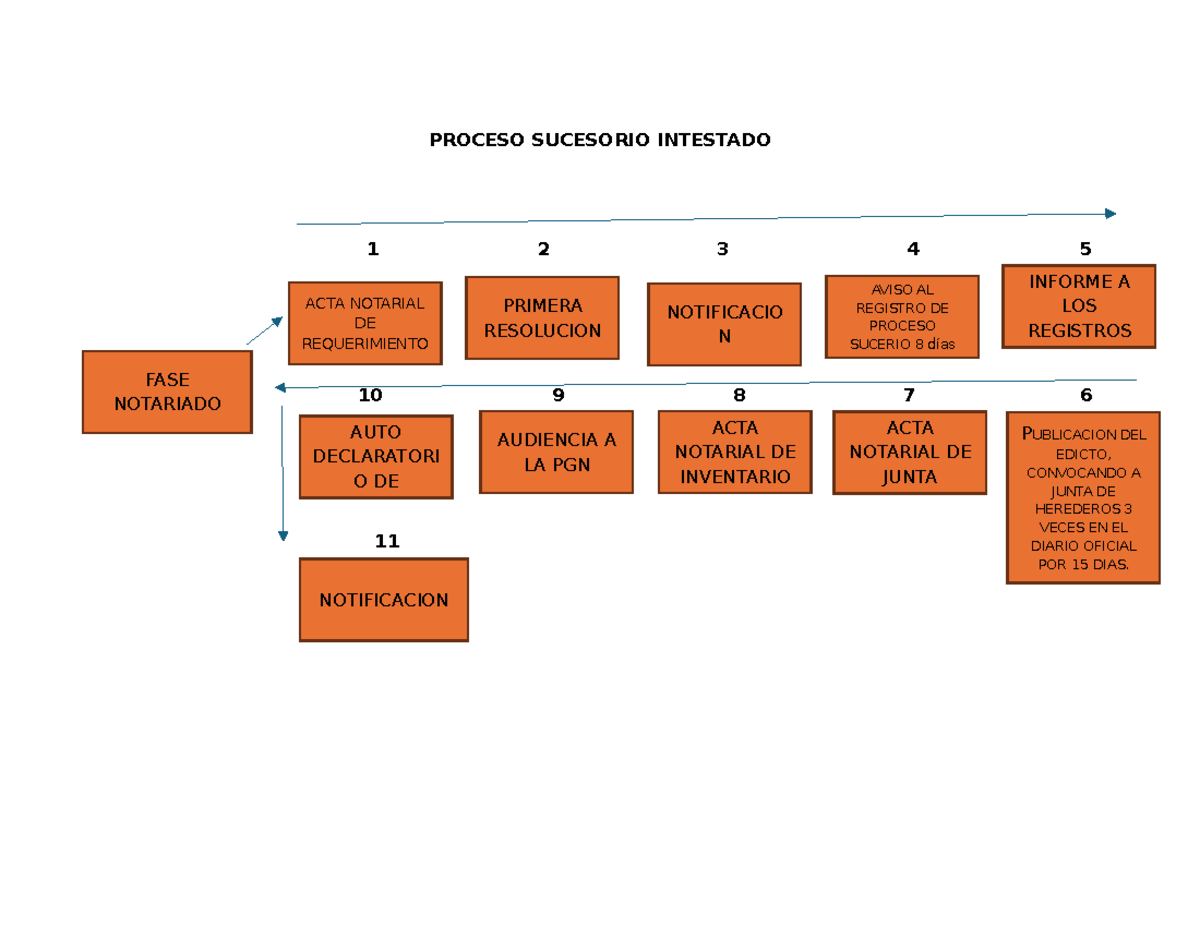 Esquema del Proceso Sucesorio Intestado: Acta Notarial y Procedimientos ...