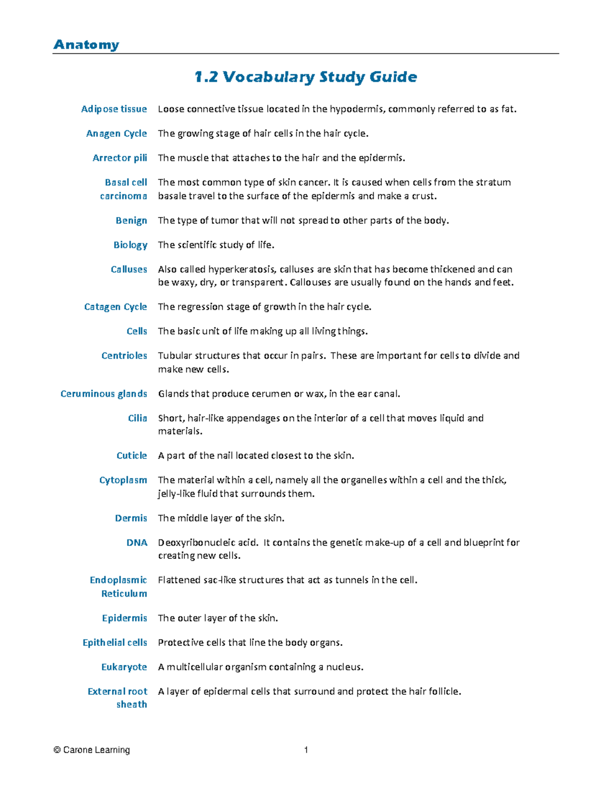 Anatomy Vocabulary Study Guide: Key Terms and Concepts - 1 Vocabulary ...