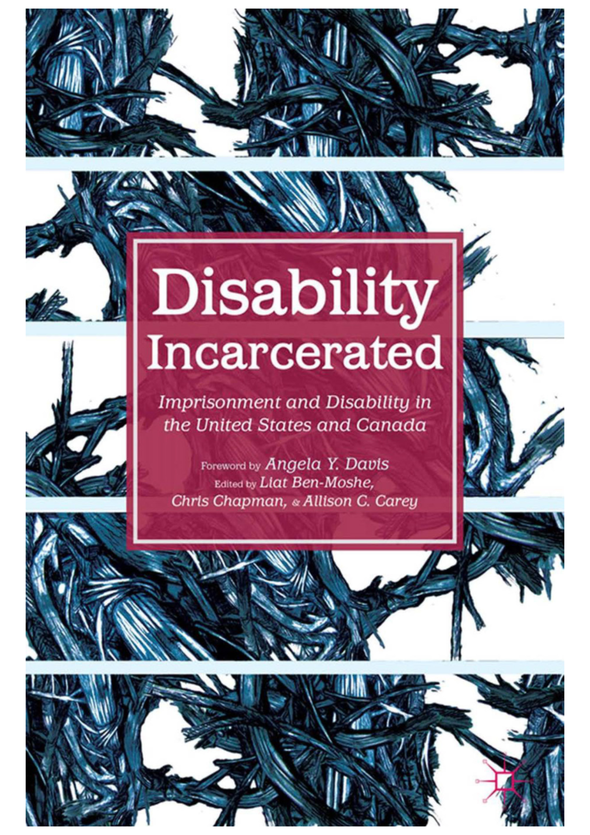 Critical Race & Disability Perspectives on the PIC: Insights ...