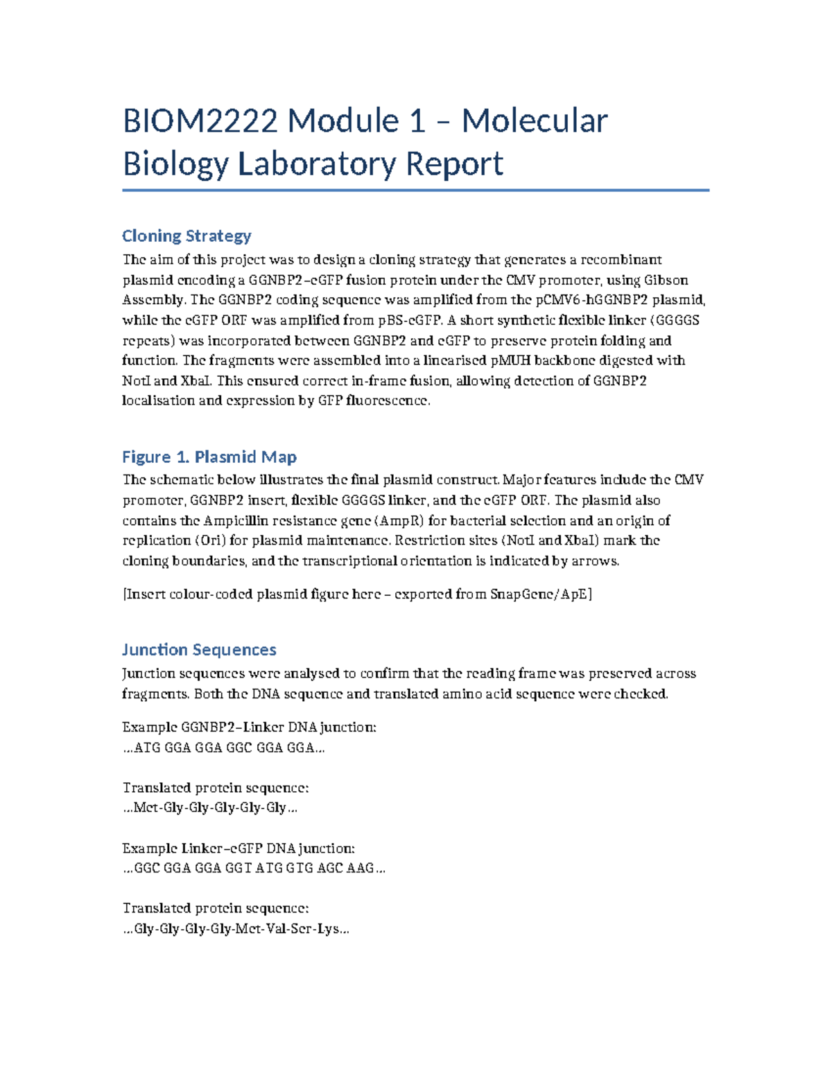 BIOM2222 Molecular Biology Lab Report: Cloning Strategy Overview - Studocu