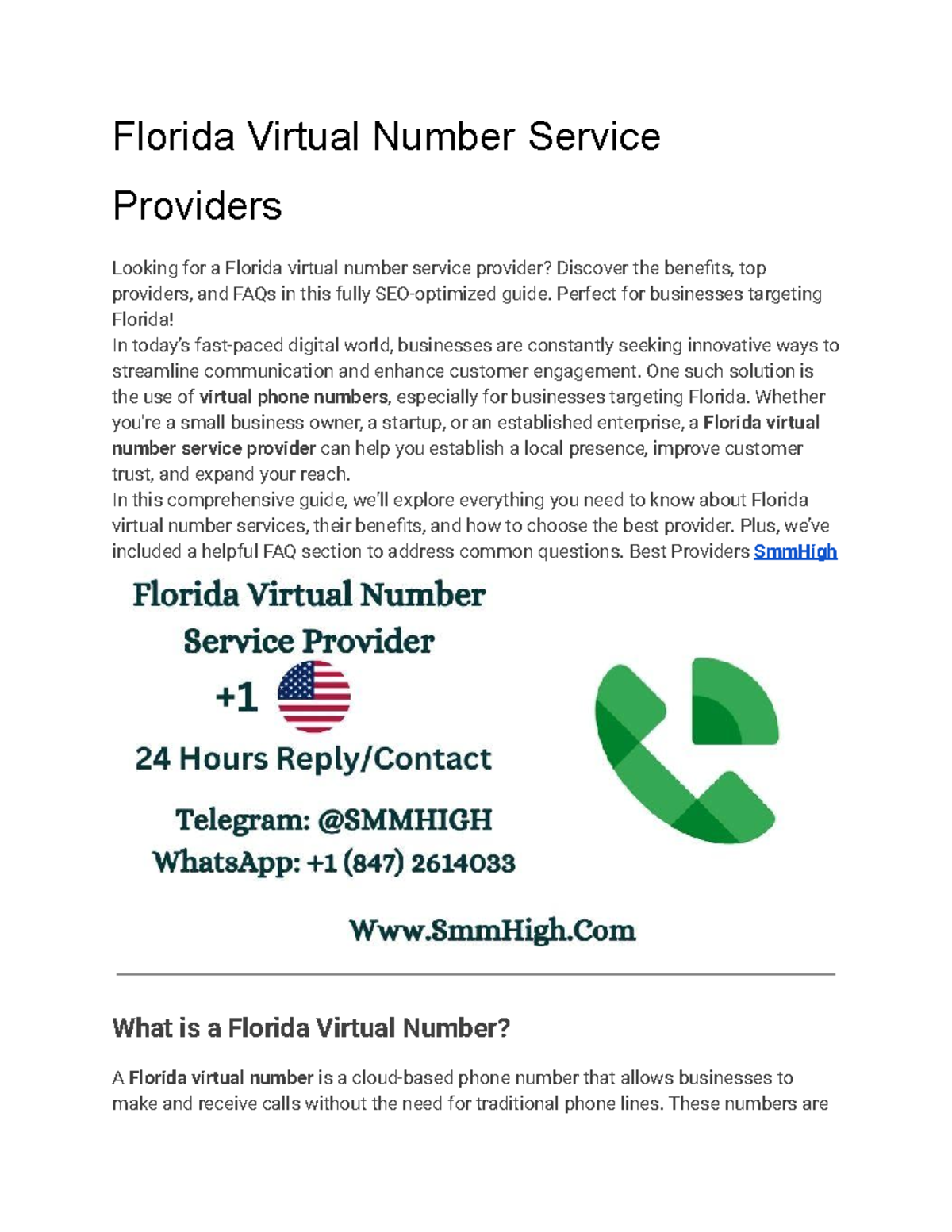 Florida Virtual Number Service Providers - Florida Virtual Number ...