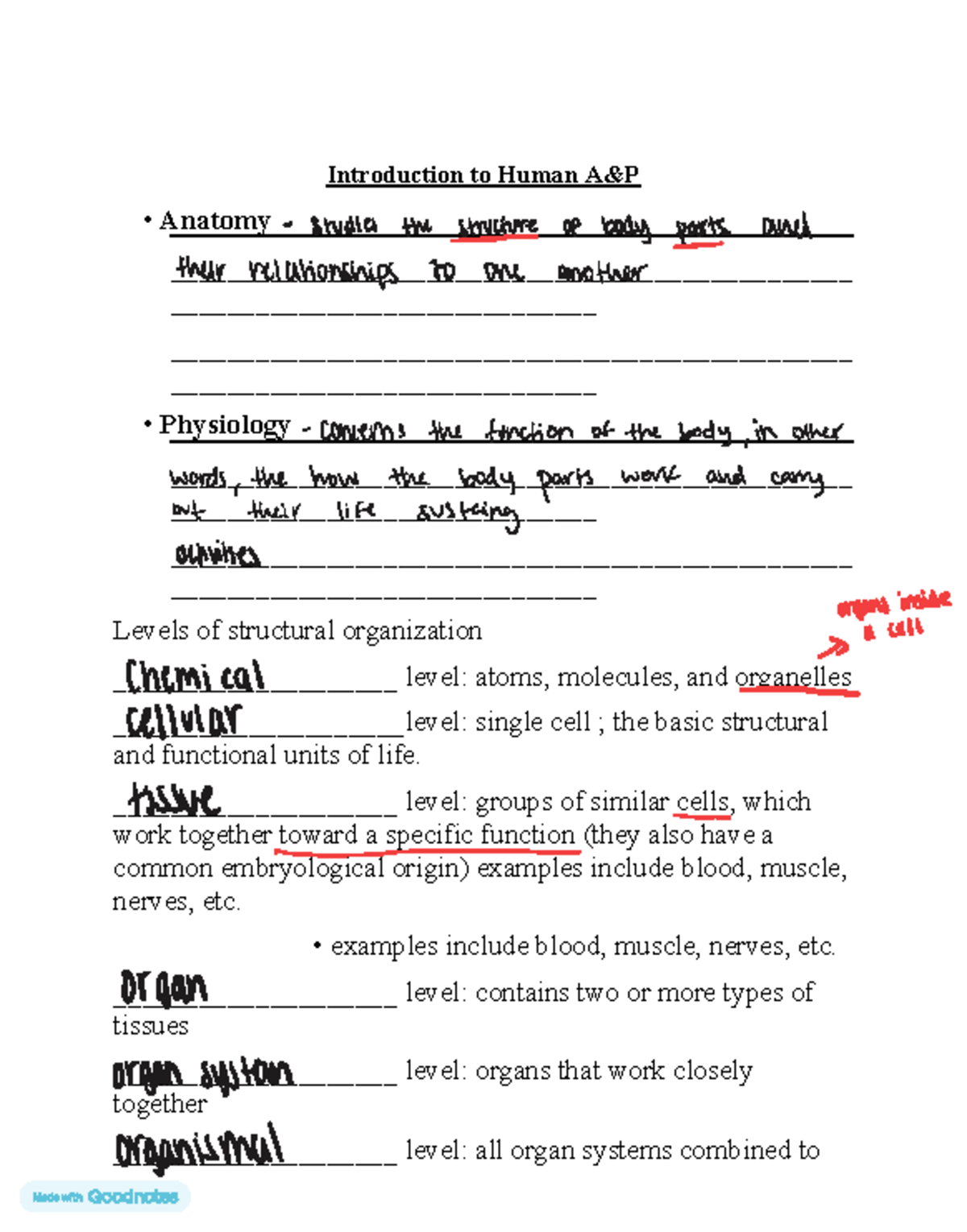 Introduction to Human Anatomy and Physiology (A&P) Overview - Studocu