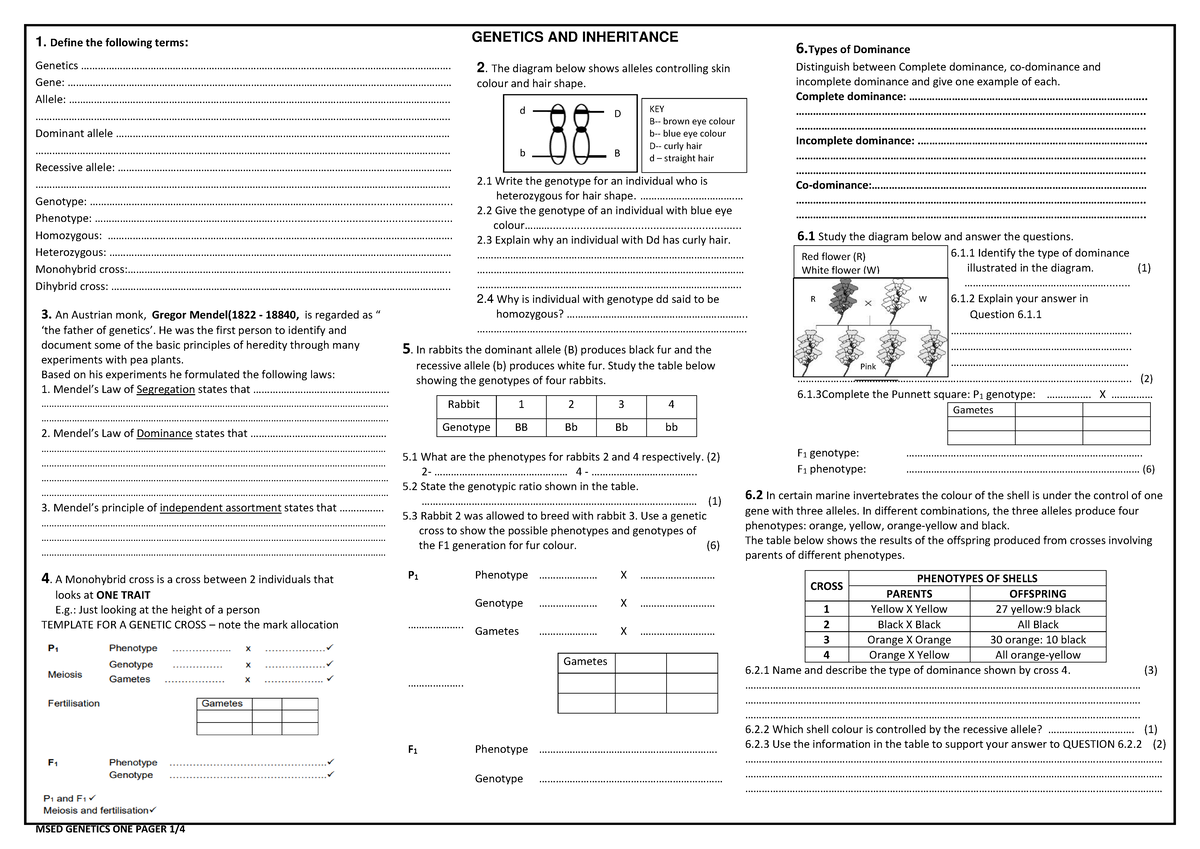 Genetics & Inheritance: MSED ONE Pager Overview & Key Concepts - Studocu