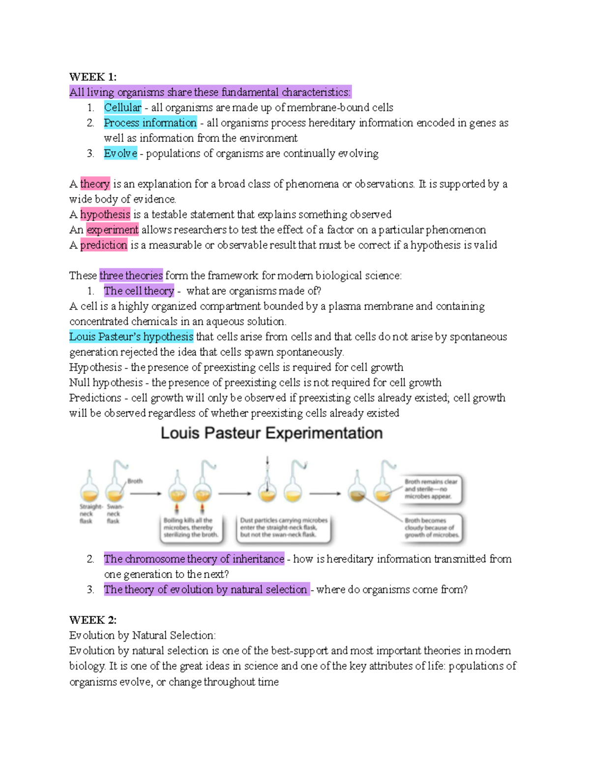 BIO 1M03 Week 1: Fundamental Characteristics of Life and Theories - Studocu