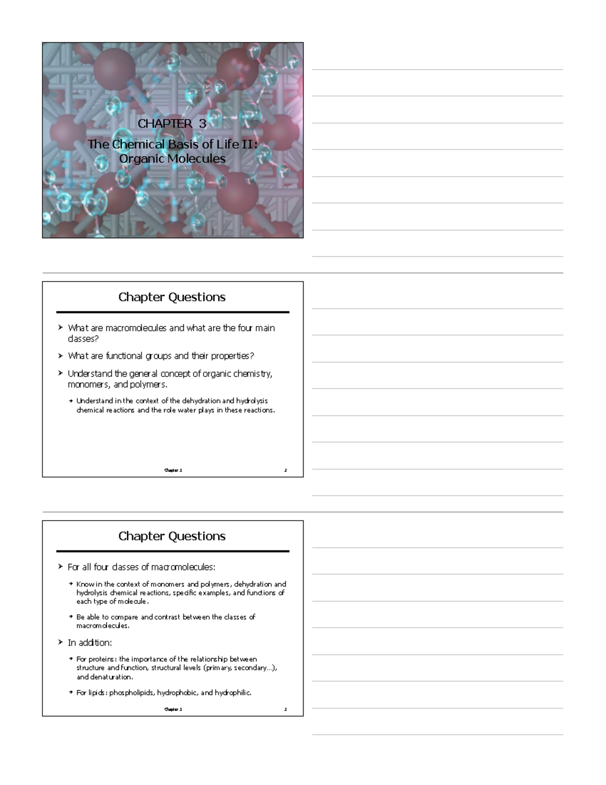 CHAPTER 3 Lecture Notes: The Chemical Basis of Life II - Organic ...