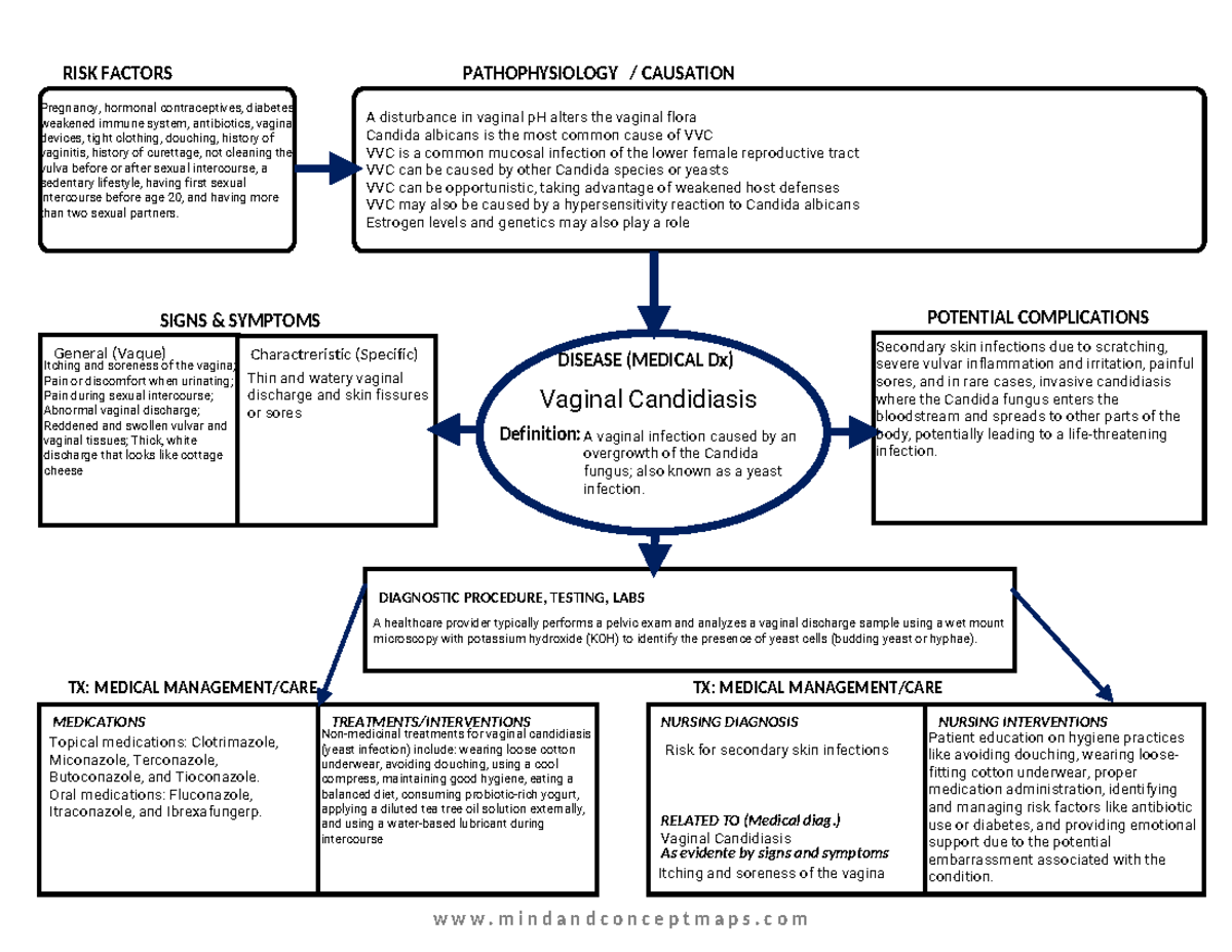 Nursing Concept Map: Vaginal Candidiasis Overview and Care Plan - Studocu