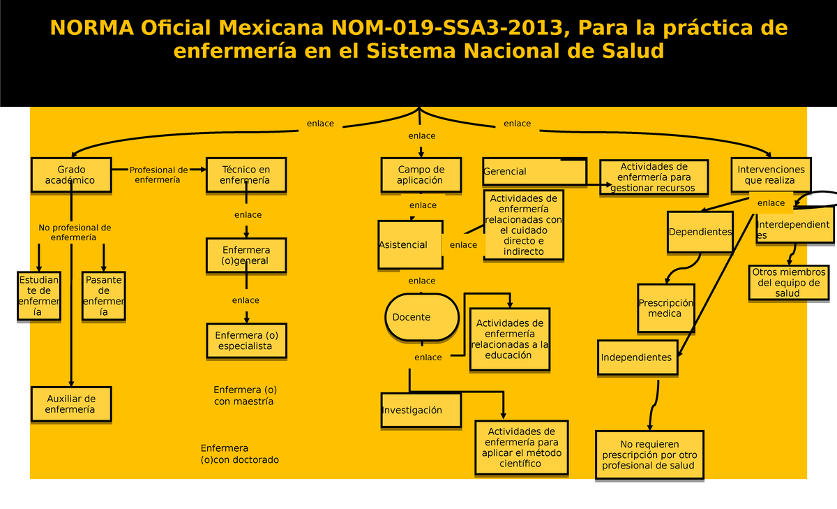 Mapa Conceptual Nom 019 Ssa3 2013 Para La Práctica De Enfermería Studocu