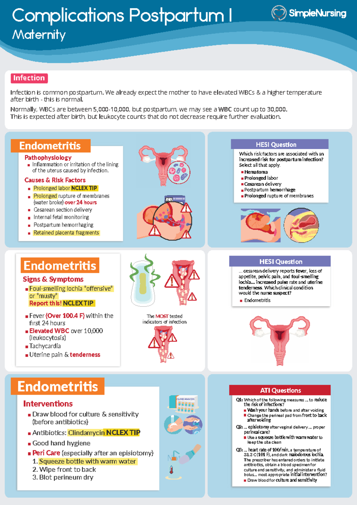 Endometritis Postpartum Complications: Nurse Notes for I Maternity ...