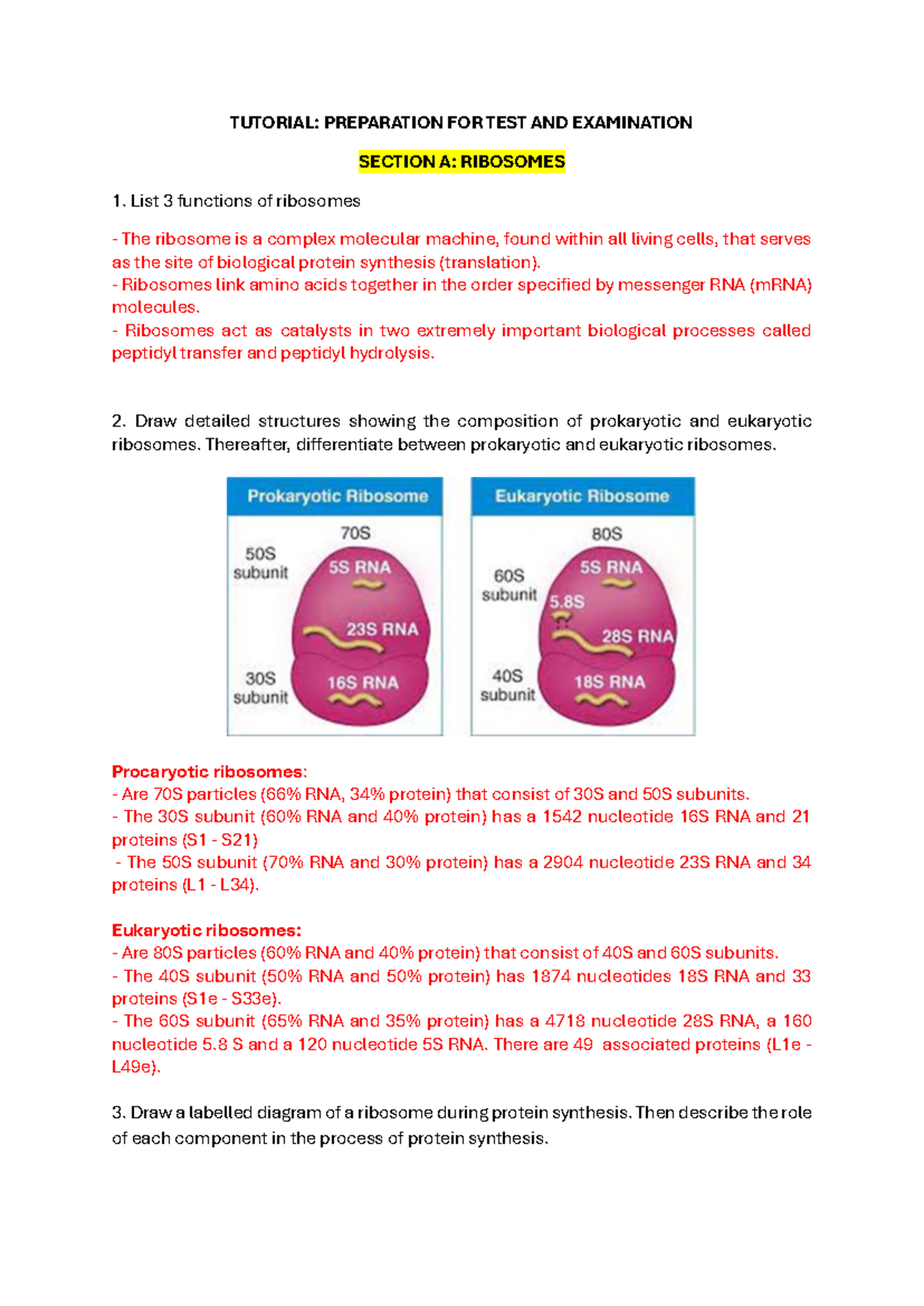 Memo Tutorial: Test & Exam Prep on Ribosomes & Genetic Code (BIO 2026 ...