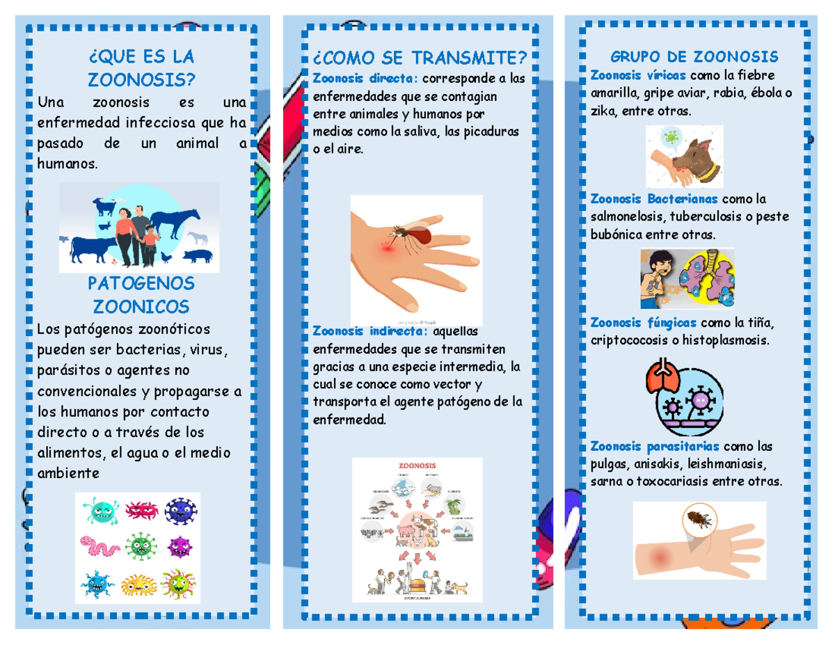 Zoonosis: Comprendiendo Enfermedades de Animales a Humanos - Tríptico ...