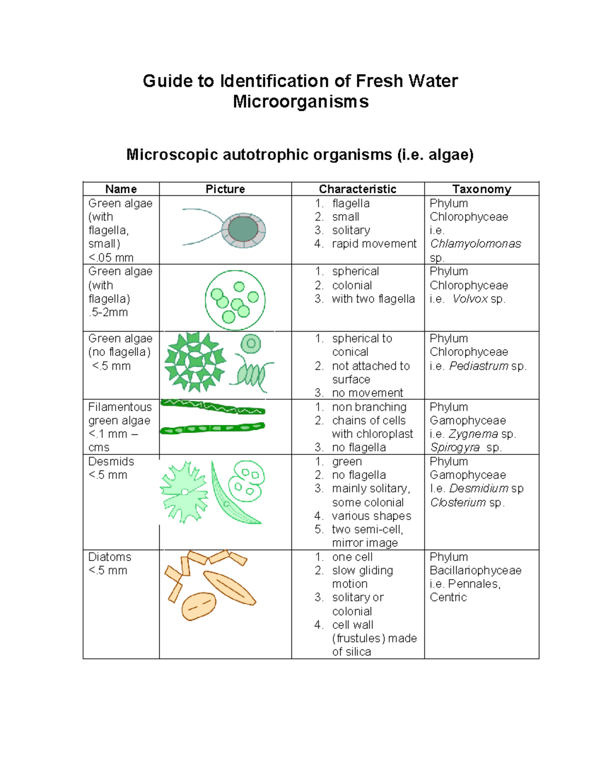 Identification of Fresh Water Microorganisms: A Comprehensive Guide ...