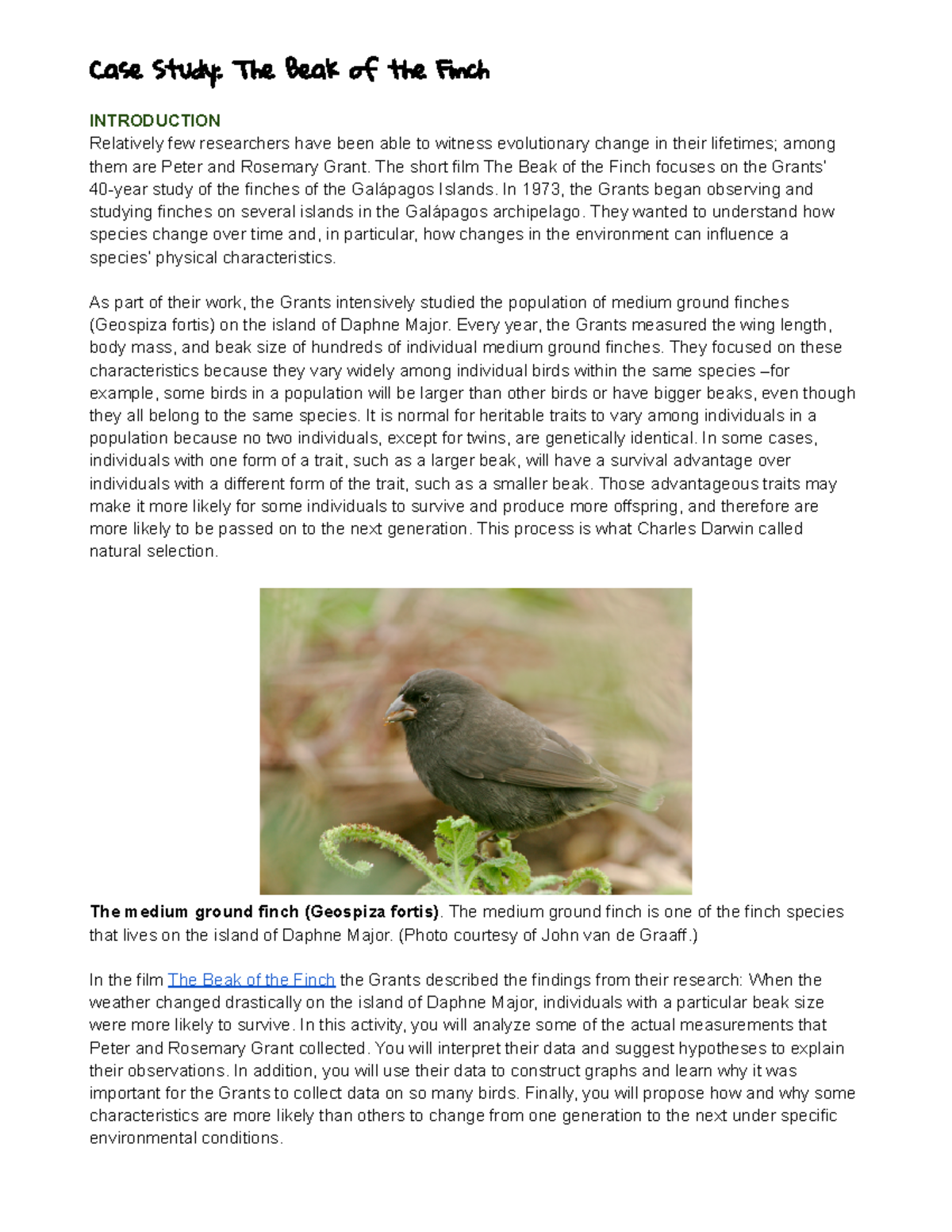 Case Study The Beak of the Finch-1 - Case Study: The Beak of the Finch ...