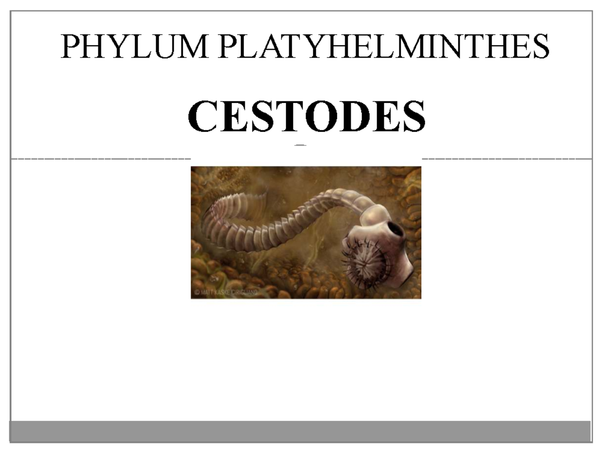 Cestoda Class Overview - PHYLUM PLATYHELMINTHES Lecture Notes - Studocu
