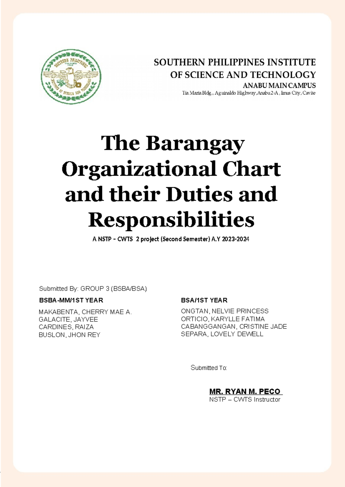 Barangay Portfolio: Organizational Chart & Community Insights (NSTP ...
