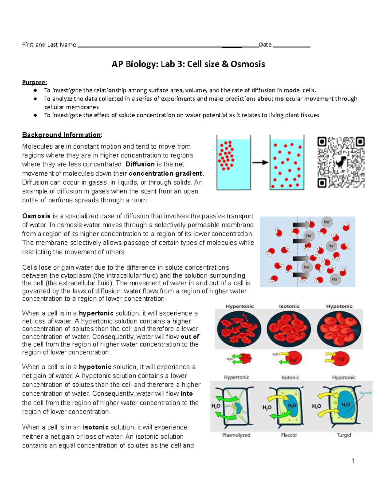 AP Biology: Lab 3 - Investigating Cell Size and Osmosis - Studocu