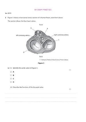 Traffic signs manual chapter 4 - Traffic Signs Manual Warning Signs C H ...