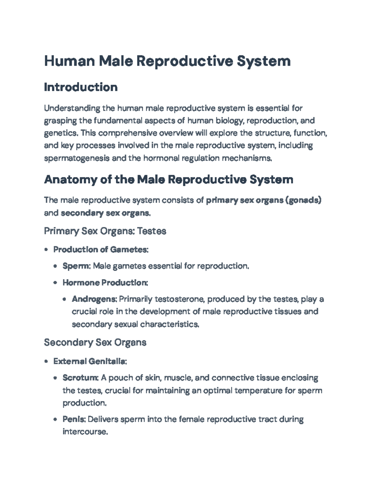 Understanding the Human Male Reproductive System: Anatomy & Function ...