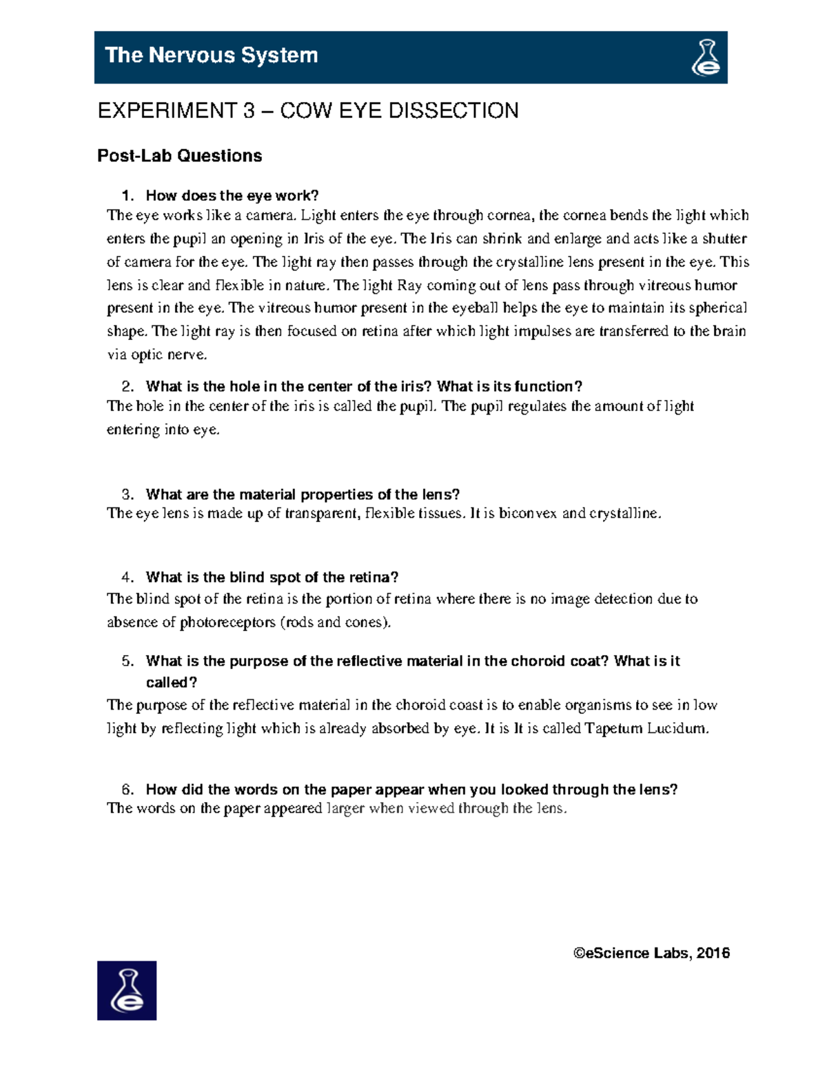 Nervous System Lab 08: Eye Dissection & Reflex Experiment Insights ...