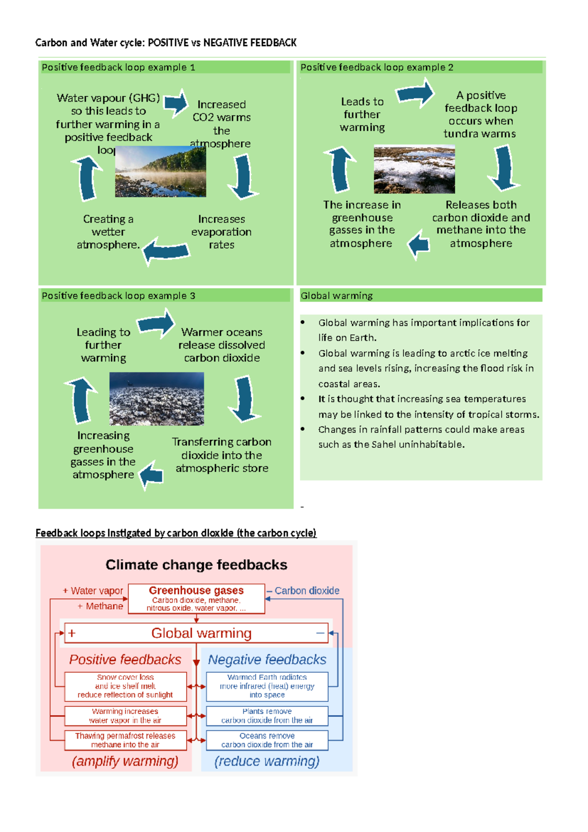 Feedback Loops in Carbon and Water Cycle: Positive vs Negative Analysis ...