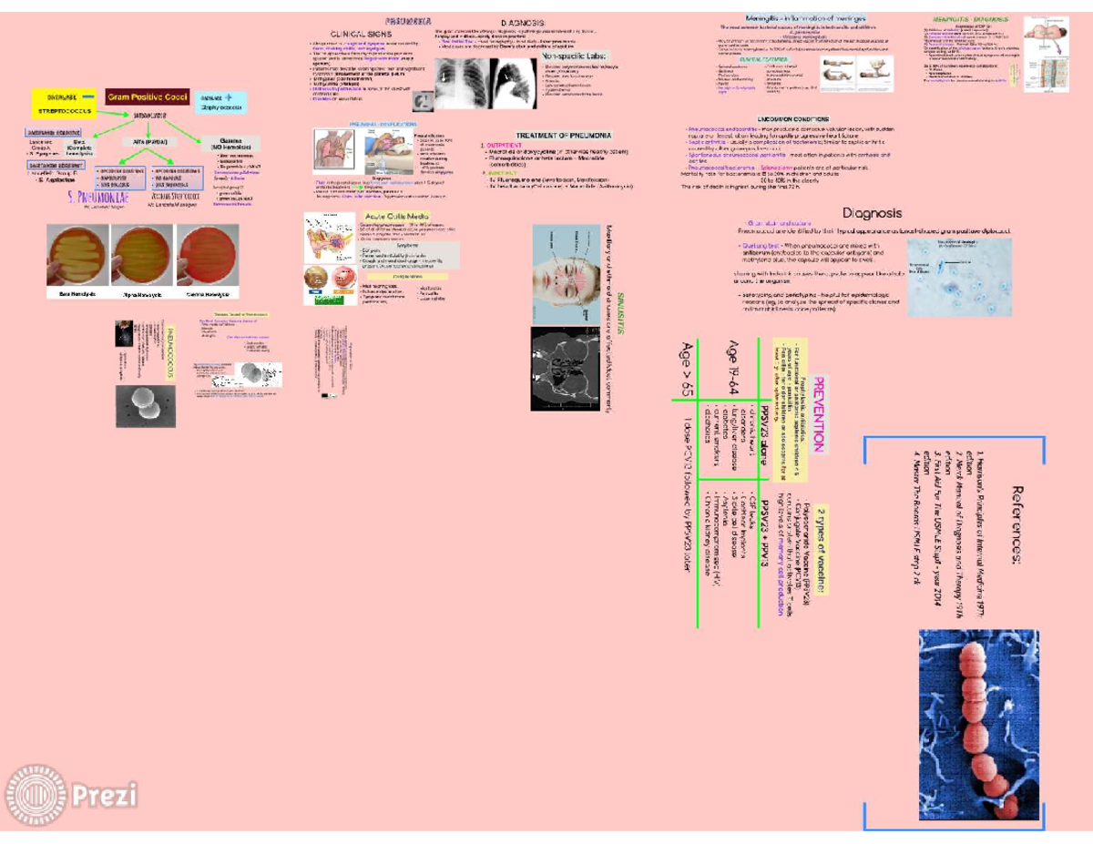 PNEUMONIA & MENINGITIS: Diagnosis, Treatment, and Clinical Features ...