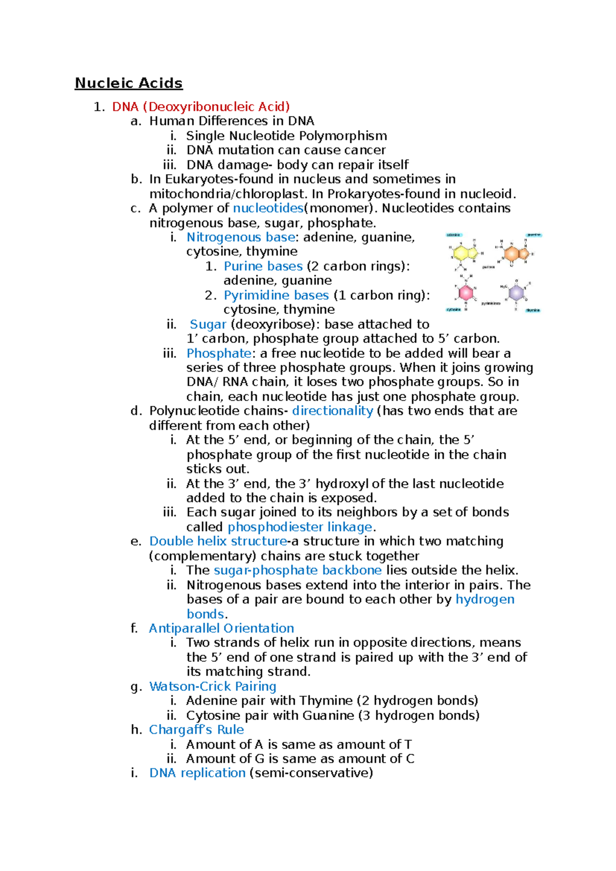 BN2301 Lecture Notes: Nucleic Acids & DNA Structure - Studocu