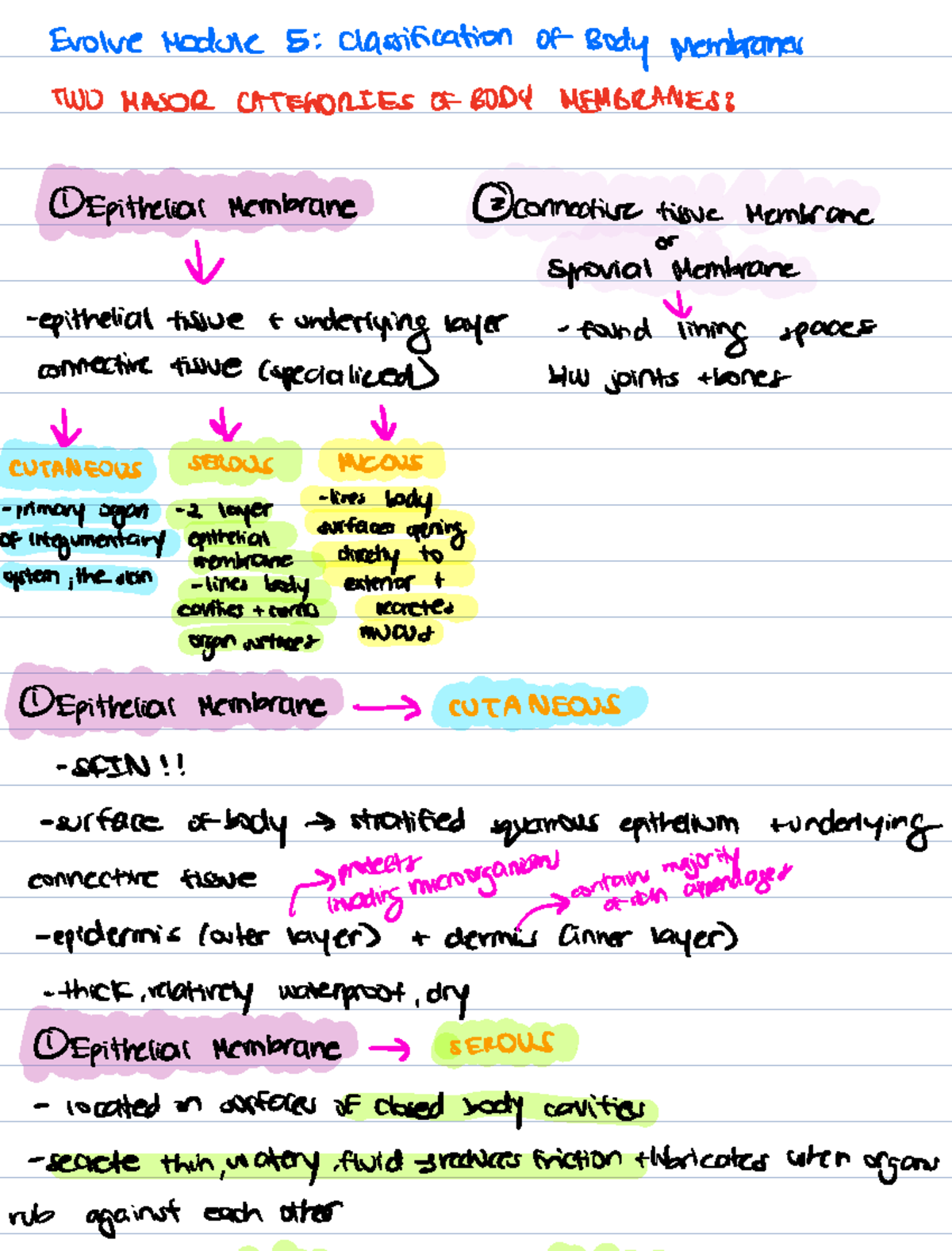 Evolve Module 5: Classification of Body Membranes Overview - Studocu