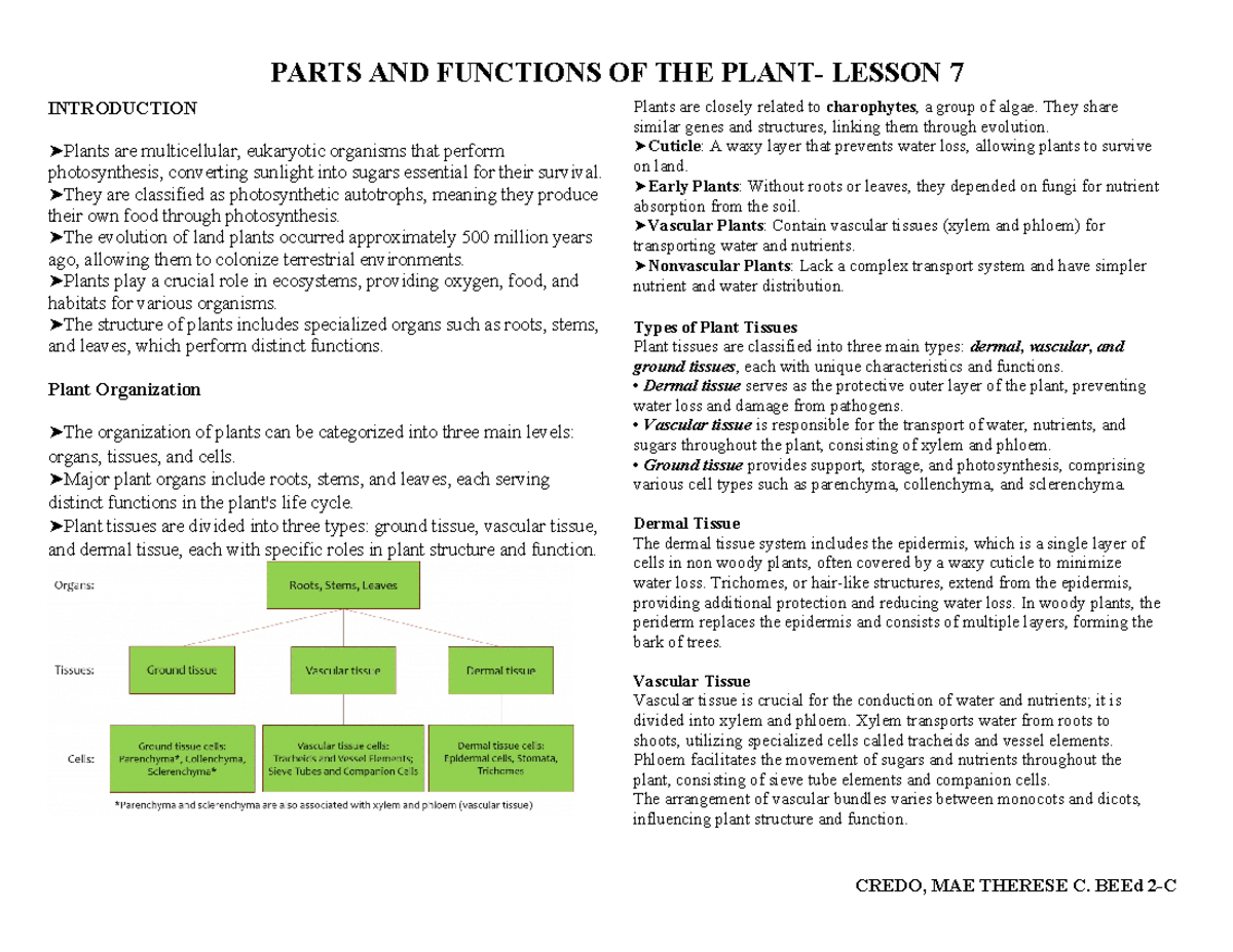 Lesson-7-sci - Summary Science a Closer Look Grade 4: Physical Science ...
