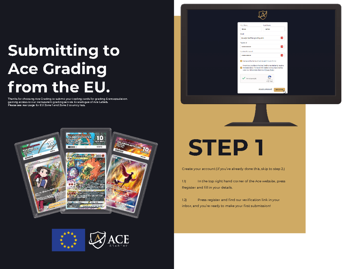 EUR Ace Grading Submission Guide and Steps for EU Residents - Studeersnel