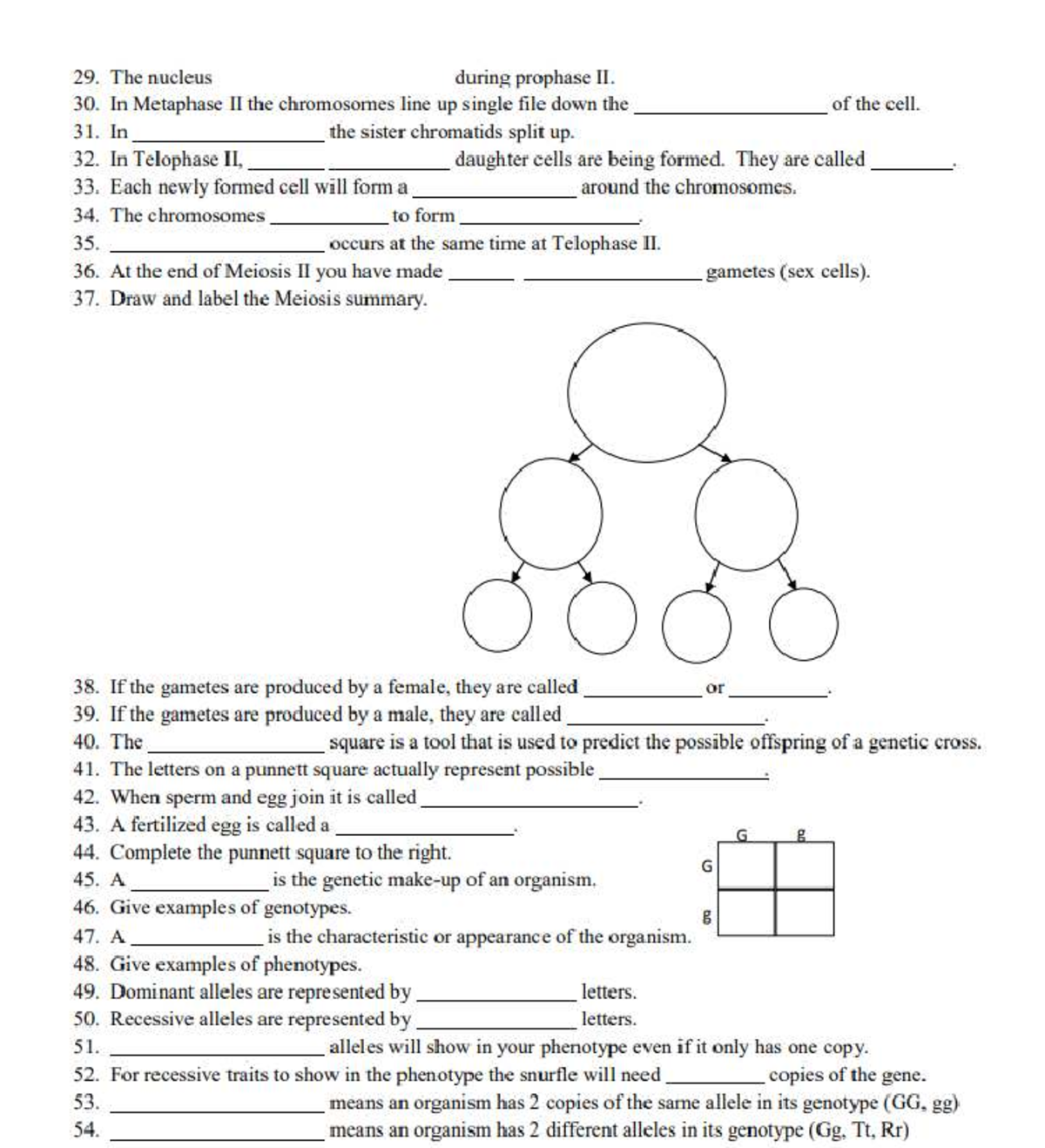 Meiosis II Overview and Genetic Concepts - Bio 101 Lecture Notes - Studocu