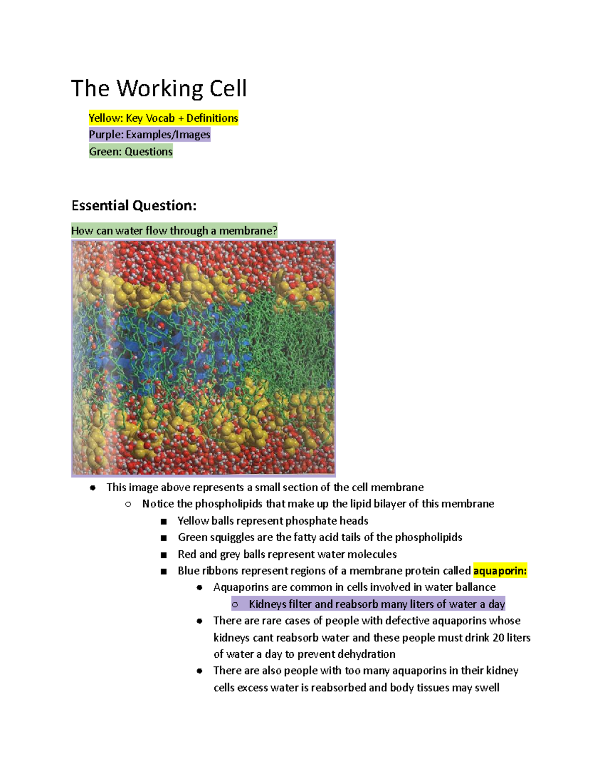 Cell Membrane Structure & Function: Key Concepts & Questions (Bio 101 ...