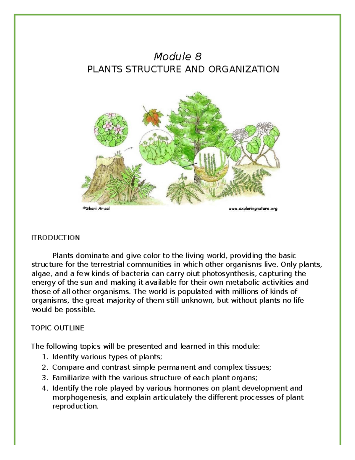 Lecture: Plant Structure and Organization - Module 8 Overview - Studocu