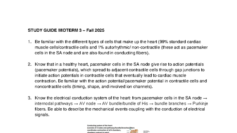 Renal Physiology Study Guide: Nephrons & Filtration Processes (MIDTERM ...