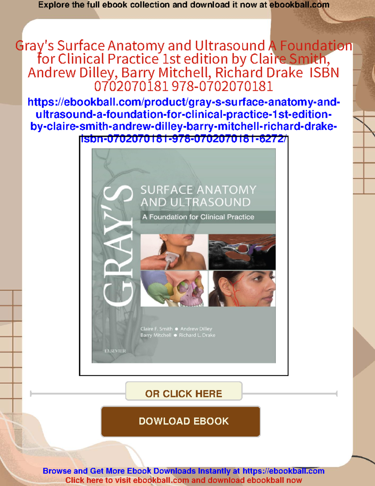 Musculoskeletal Ultrasound Cross-Sectional Anatomy 1st Edition (6648 ...