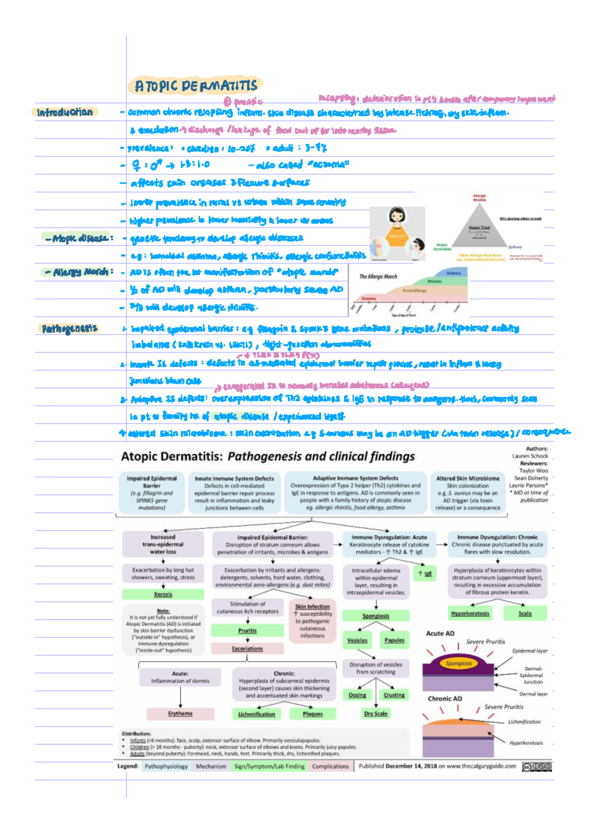 Atopic Dermatitis: Pathogenesis, Diagnosis, and Risk Factors (MED 101 ...