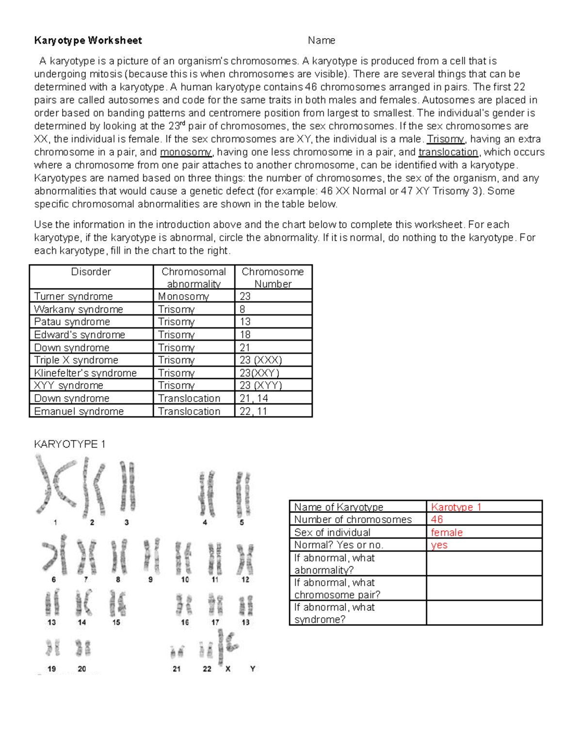 Copy of Karotype worksheet.docx - Google Docs - Karyotype Worksheet ...