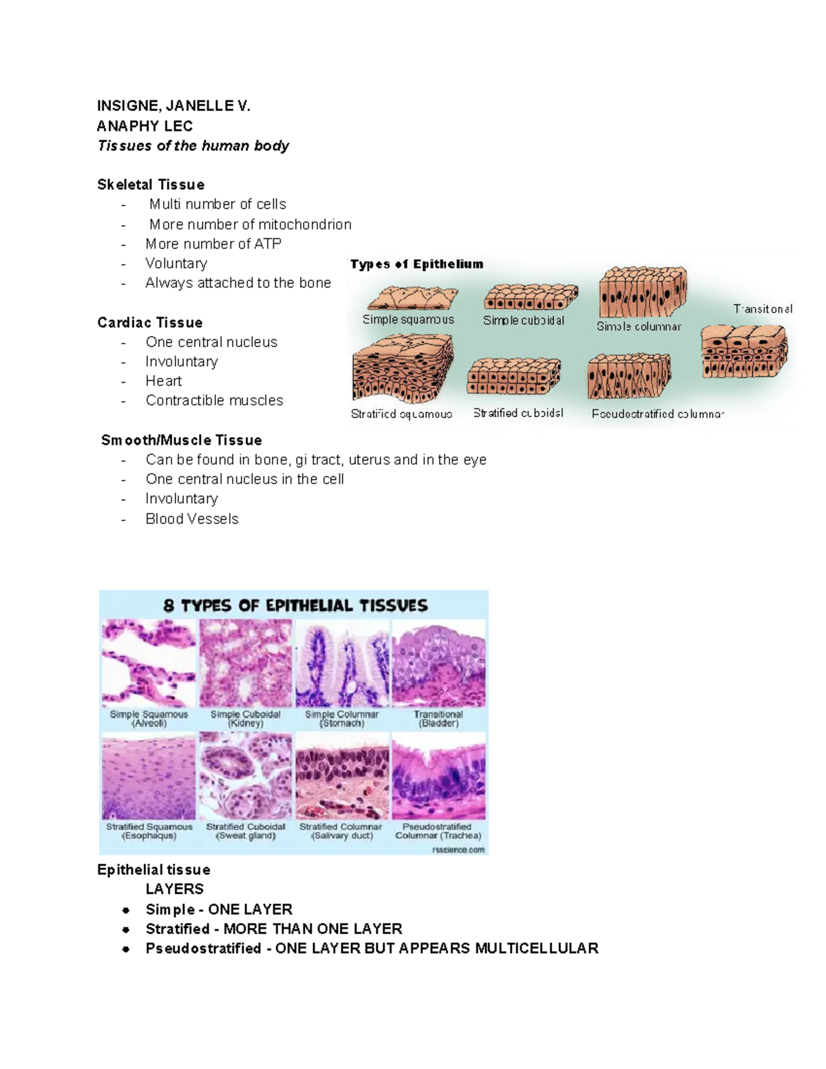 Tissues Transes - INSIGNE, JANELLE V. ANAPHY LEC Tissues of the human ...