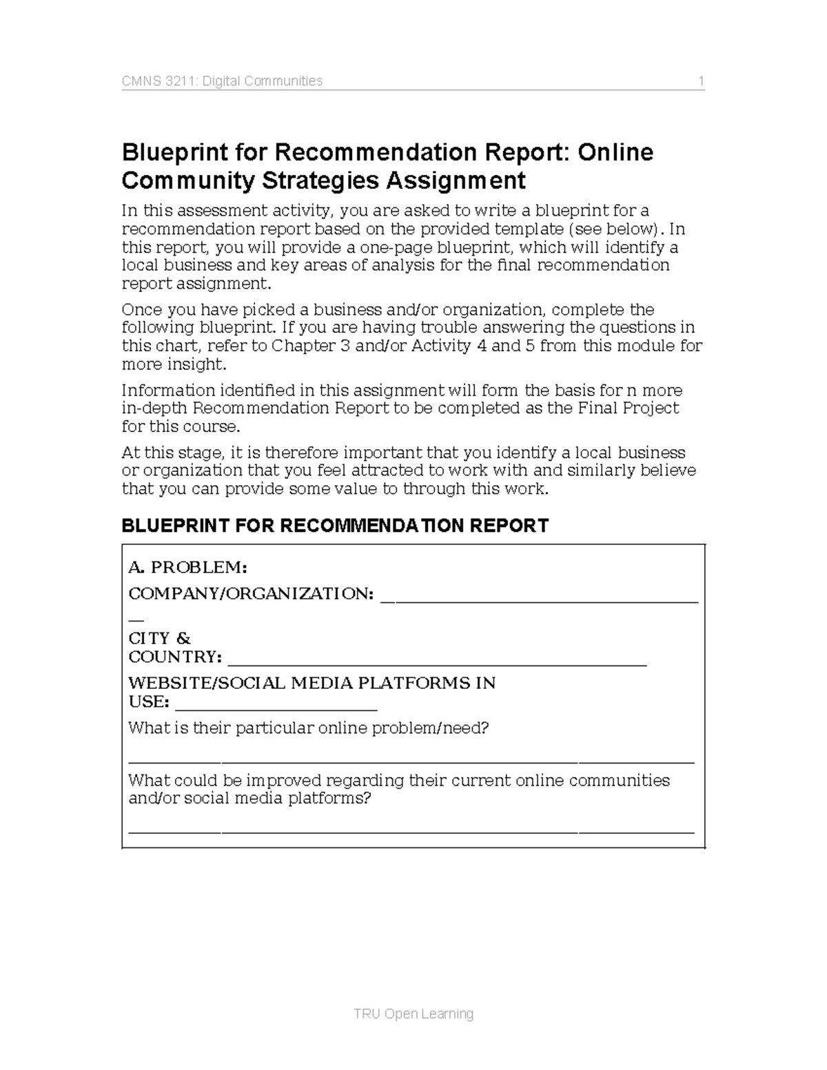 CMNS 3211: Blueprint for Recommendation Report on Online Community ...