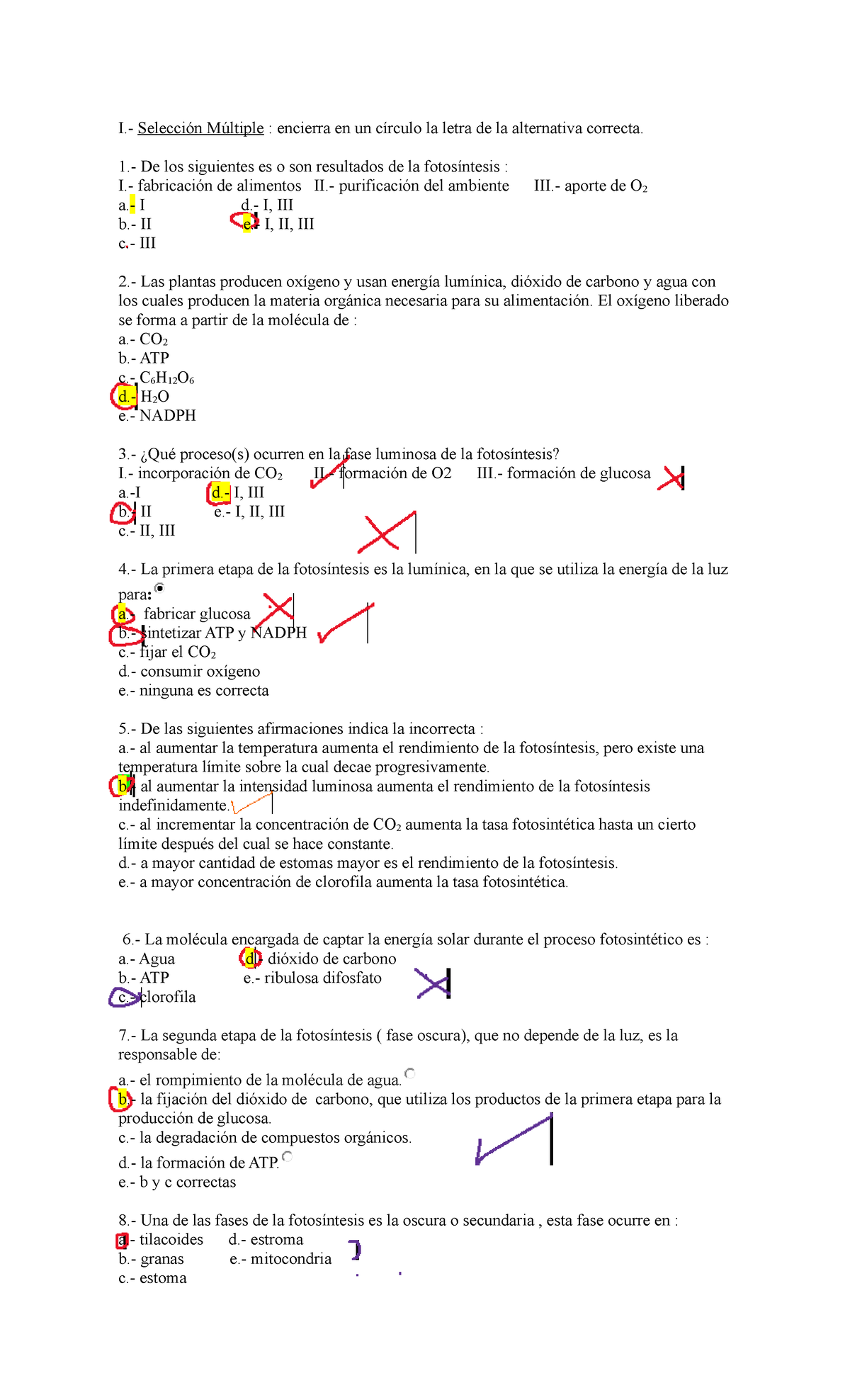 1M Biología: Prueba Sumativa sobre Fotosíntesis y Respiración Celular ...