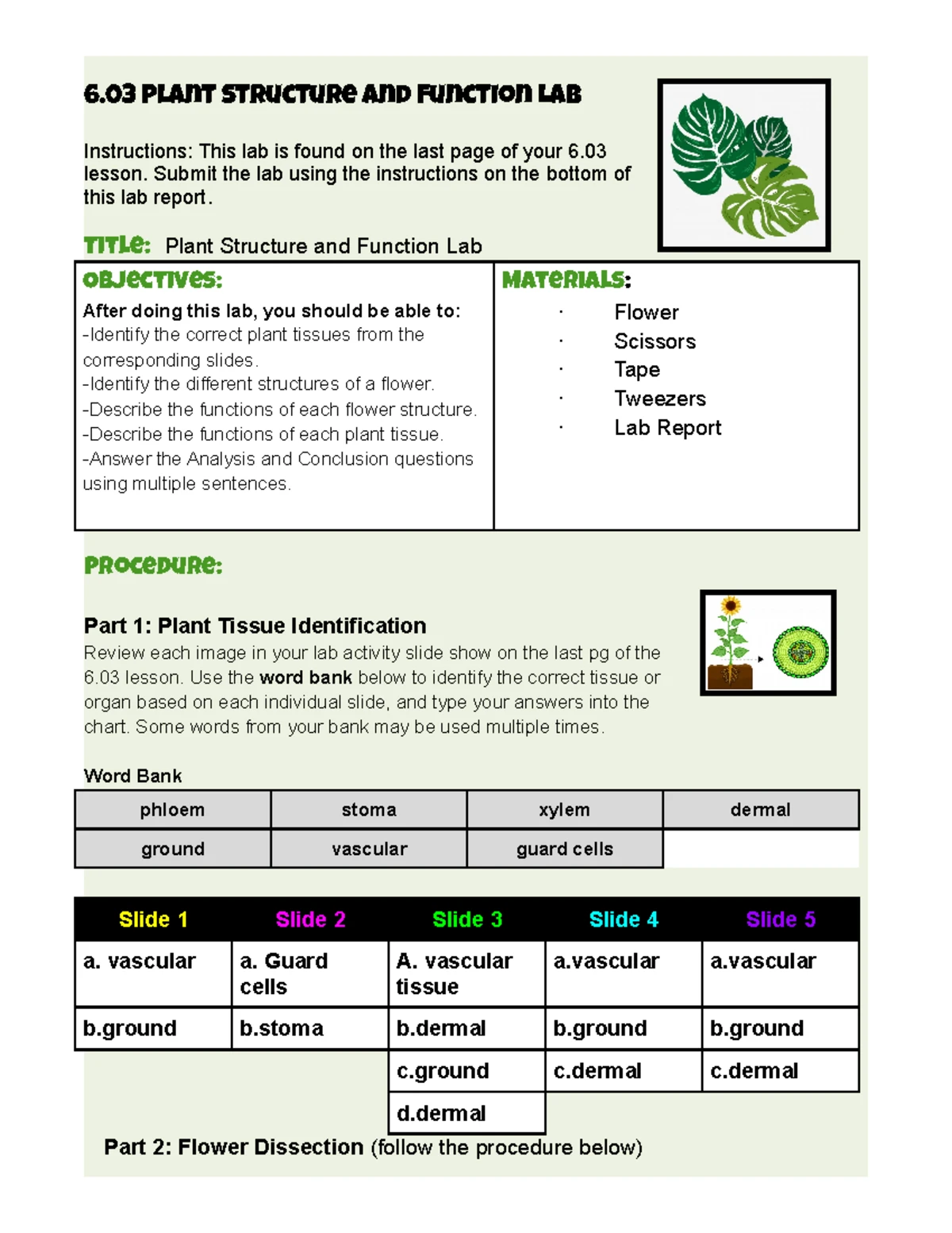 Amoeba Sisters Mitosis vs. Meiosis Comparison Worksheet - Amoeba ...