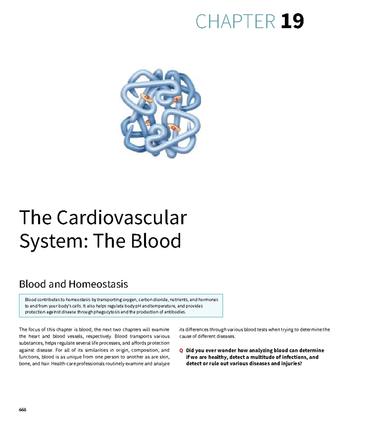 Chapter 19: The Cardiovascular System - Blood - Studocu