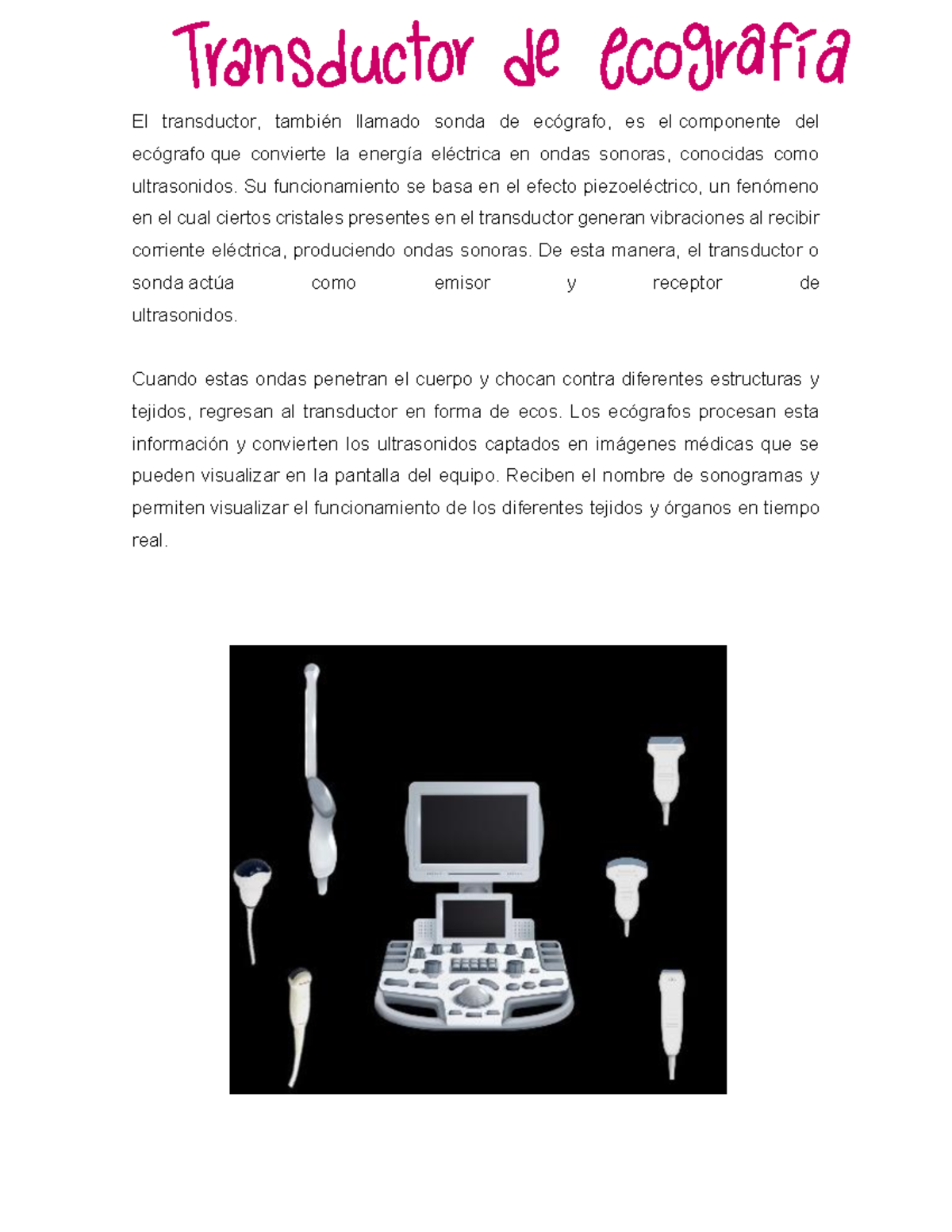Tipos de Transductores en Ecografía: Guía Completa y Aplicaciones - Studocu