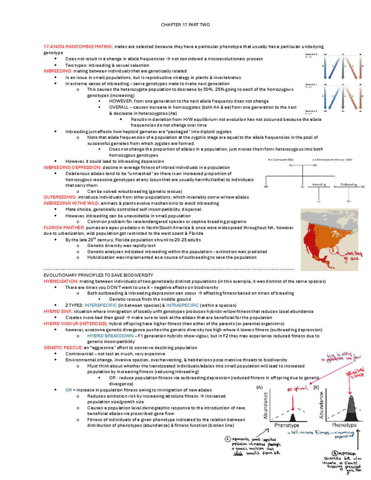 Chapter 17.4 Mating: Inbreeding, Outbreeding & Genetic Rescue in BIO ...