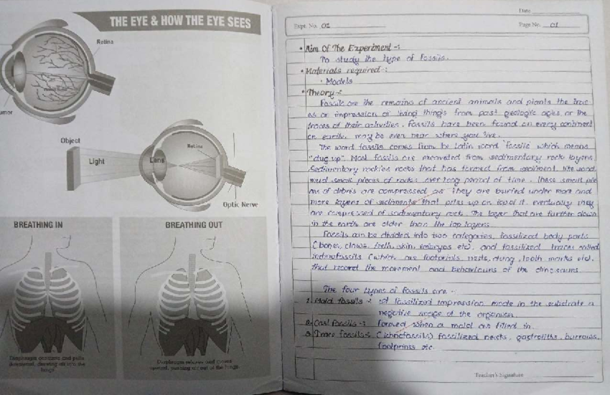 Evolutionary Biology Practical Notes (BSC 3rd Year) - Studocu