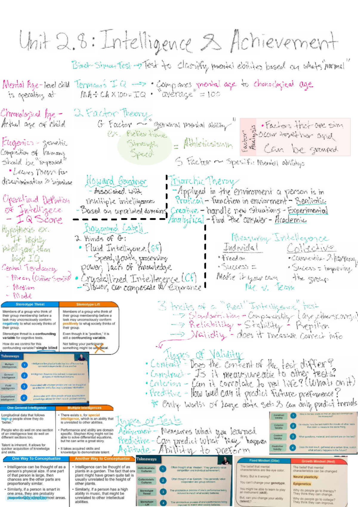 Unit 2.8 AP - SSY: Intelligence and Achievement Notes - Studocu