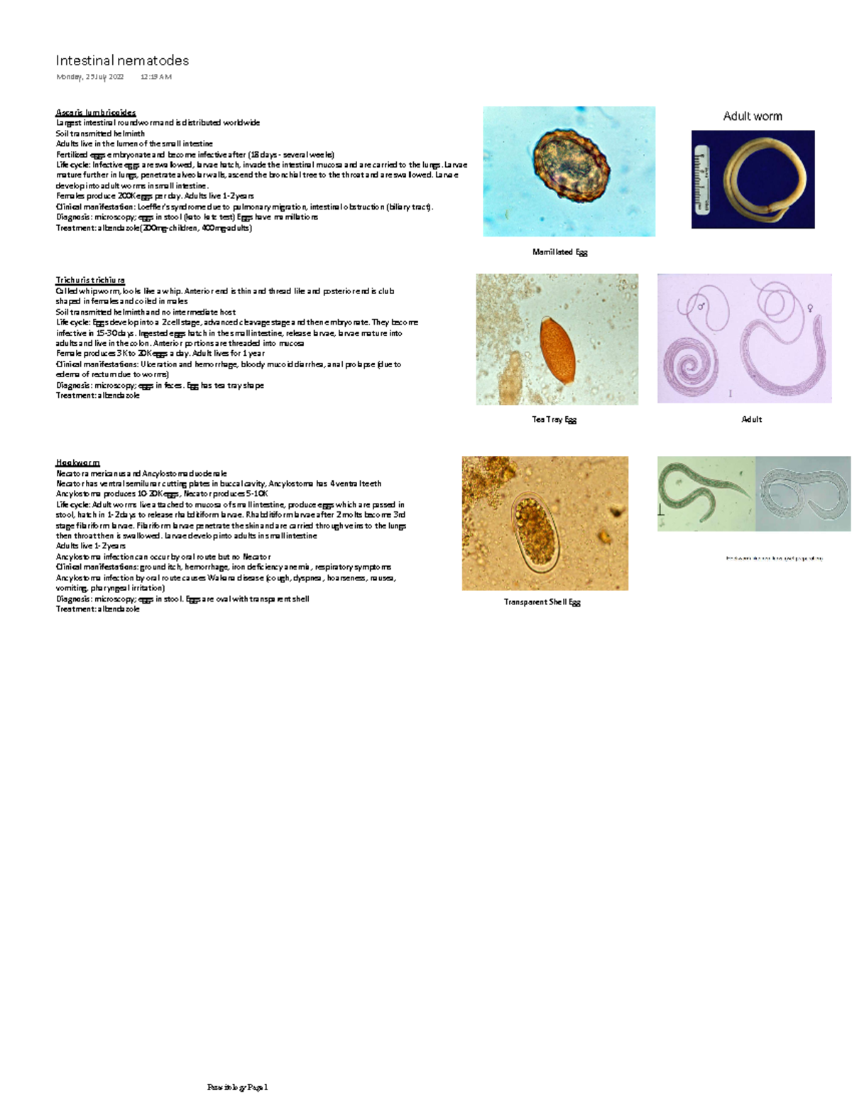 Intestinal Nematodes Overview: Key Species & Treatments (PARA101) - Studocu