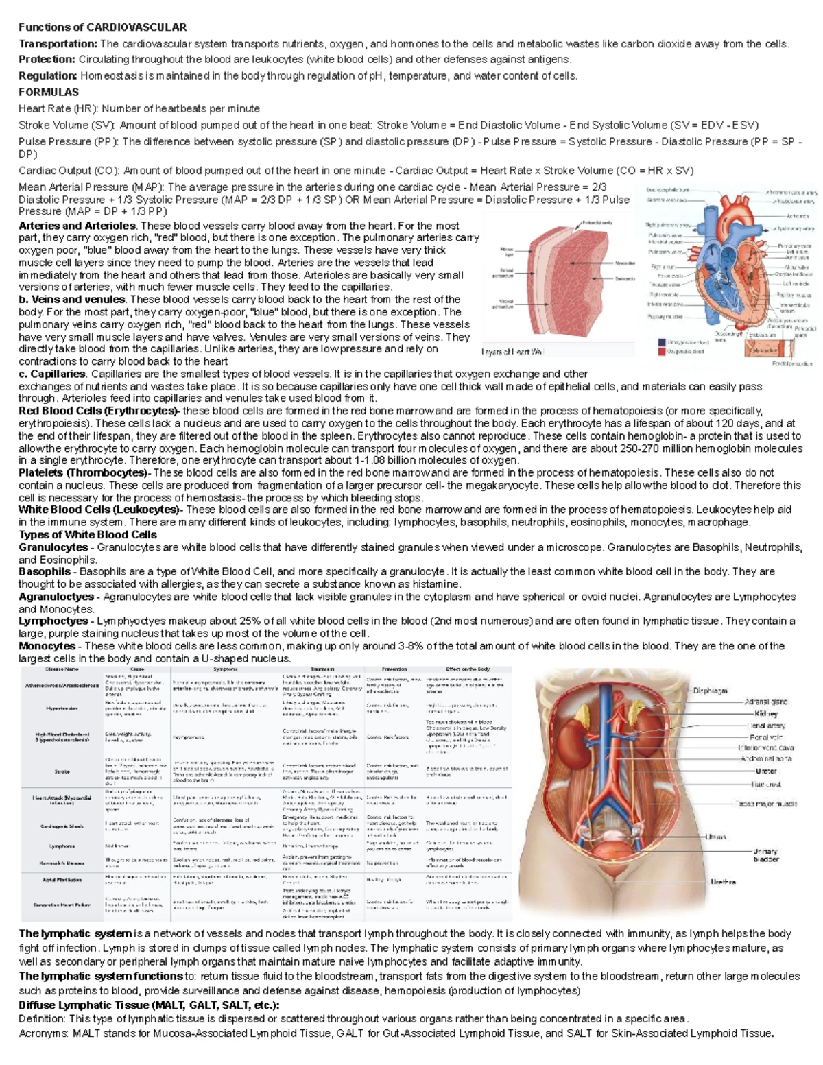 ANAT Final Exam Cheat Sheet - Summary of Human Anatomy & Physiology ...