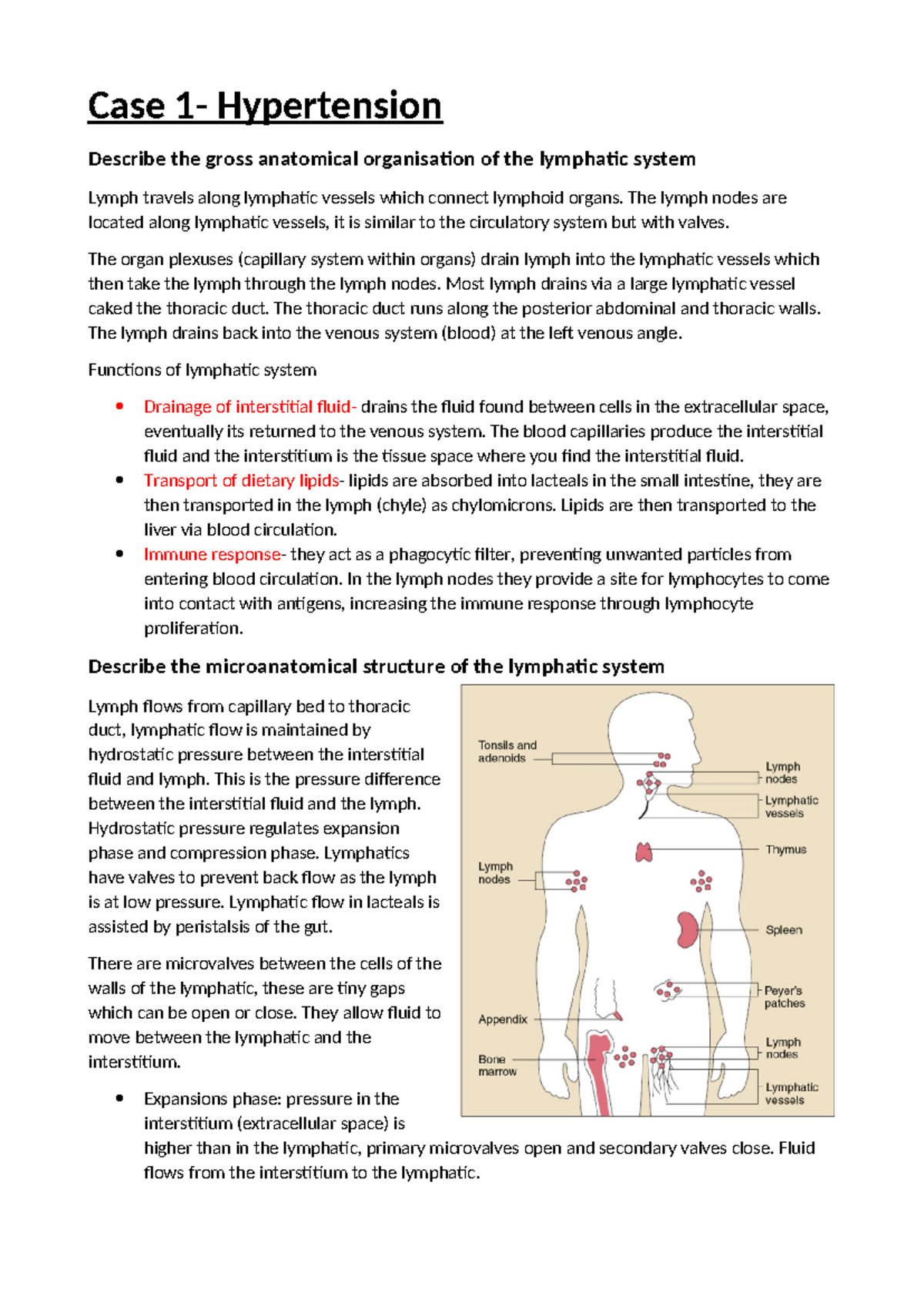 Case 1 - written notes - Case 1- Hypertension Describe the gross ...