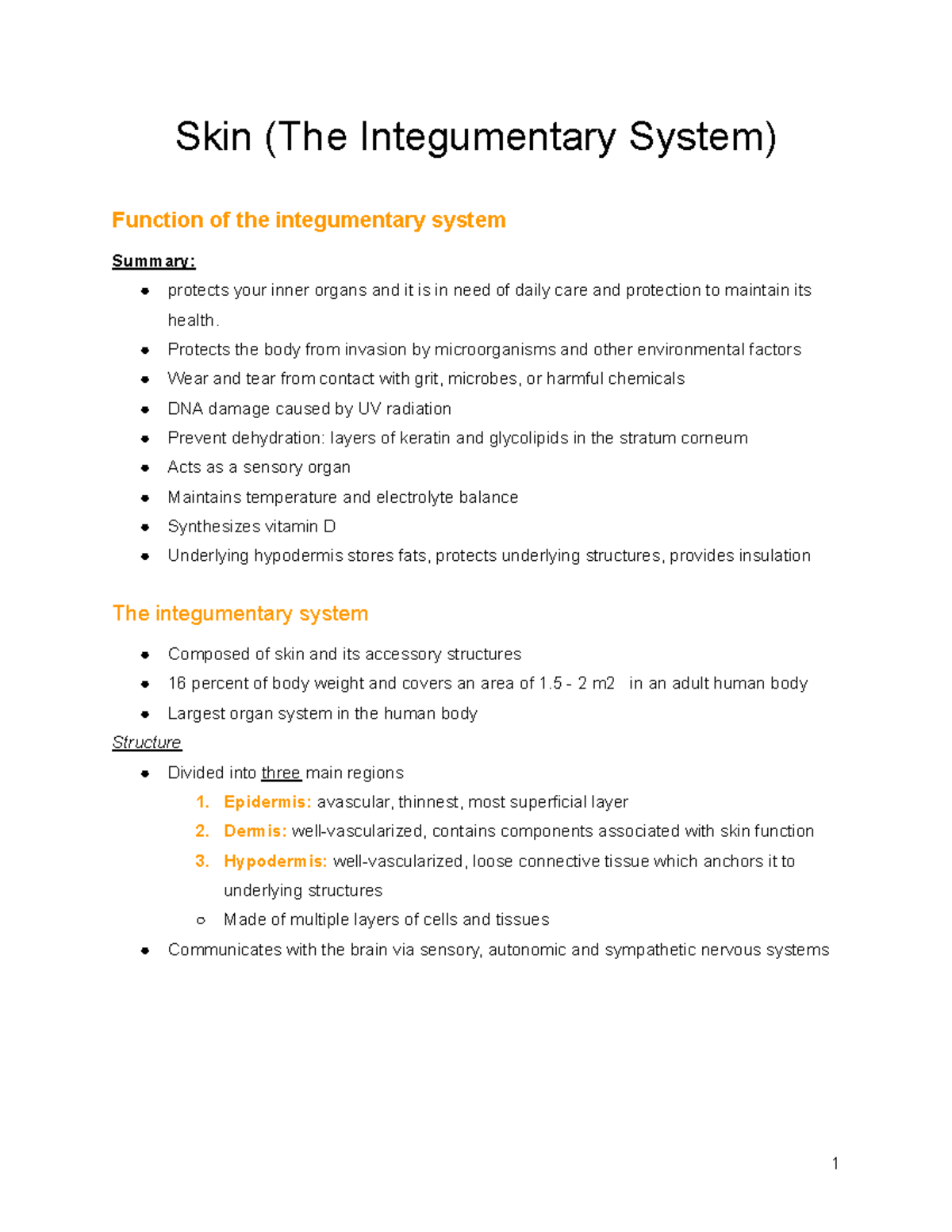 The Integumentary System - Skin - Skin (The Integumentary System ...