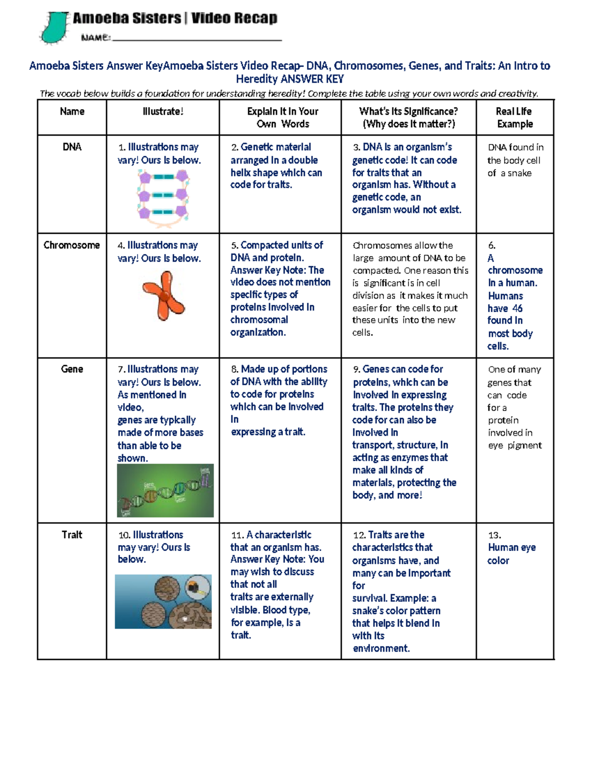 Amoeba Sisters Heredity & Genetics Video Recap ANSWER KEY - Studocu